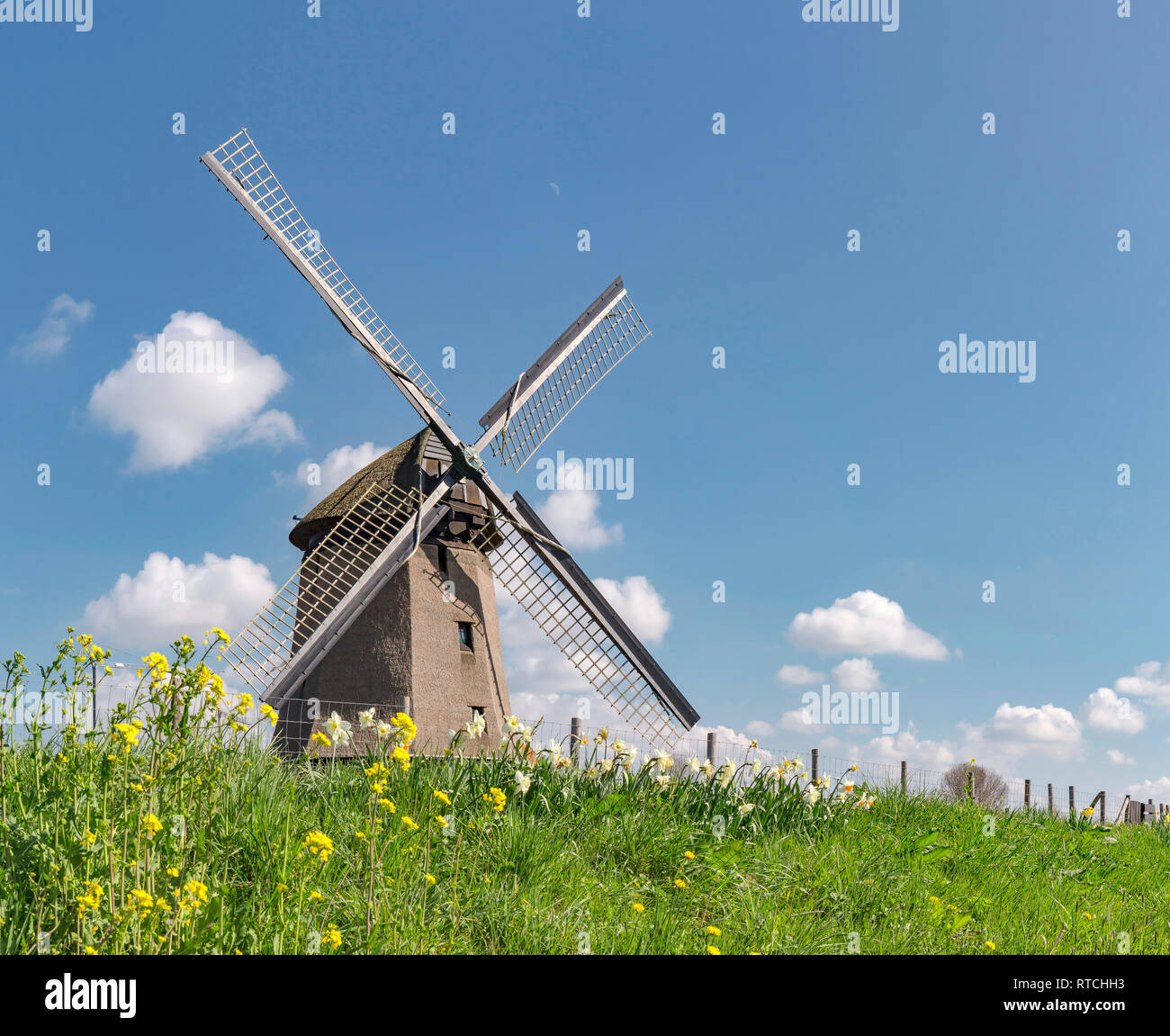 Groundsailer windmill called Strijkmolen C Stock Photo - Alamy