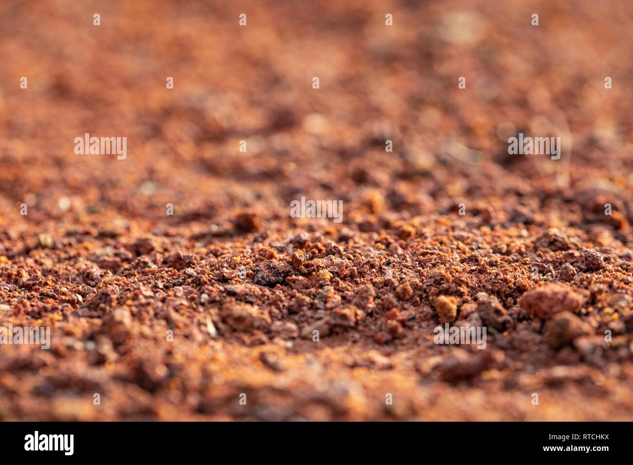Sandy brown color hi-res stock photography and images - Alamy