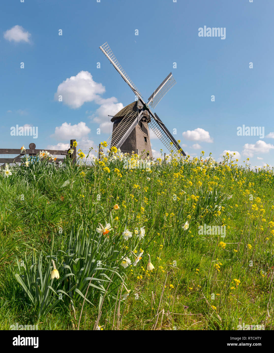 Groundsailer windmill called Strijkmolen C Stock Photo - Alamy