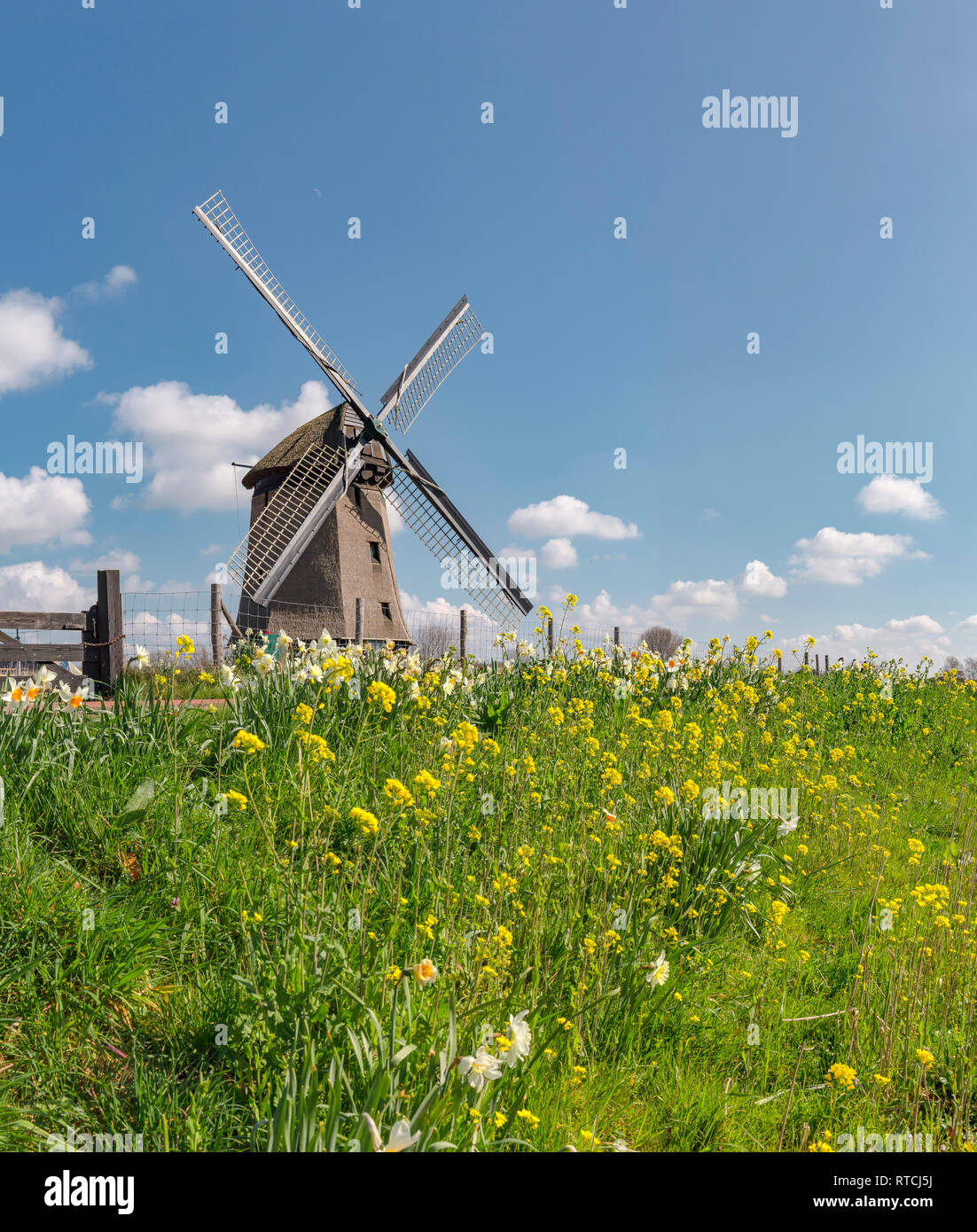 Groundsailer windmill called Strijkmolen C Stock Photo - Alamy