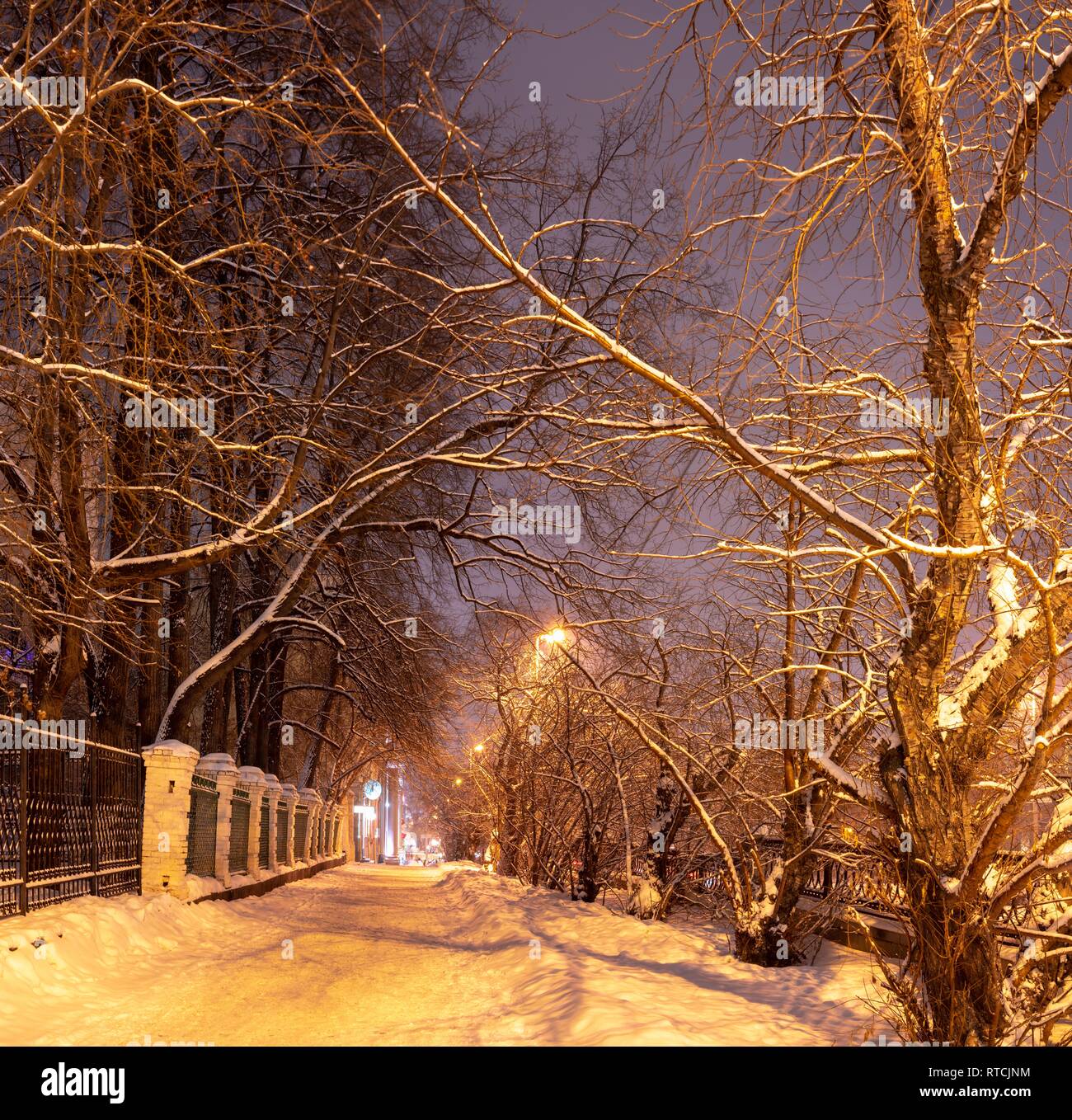City alley with an old fence on a winter night. Bare branches of trees ...