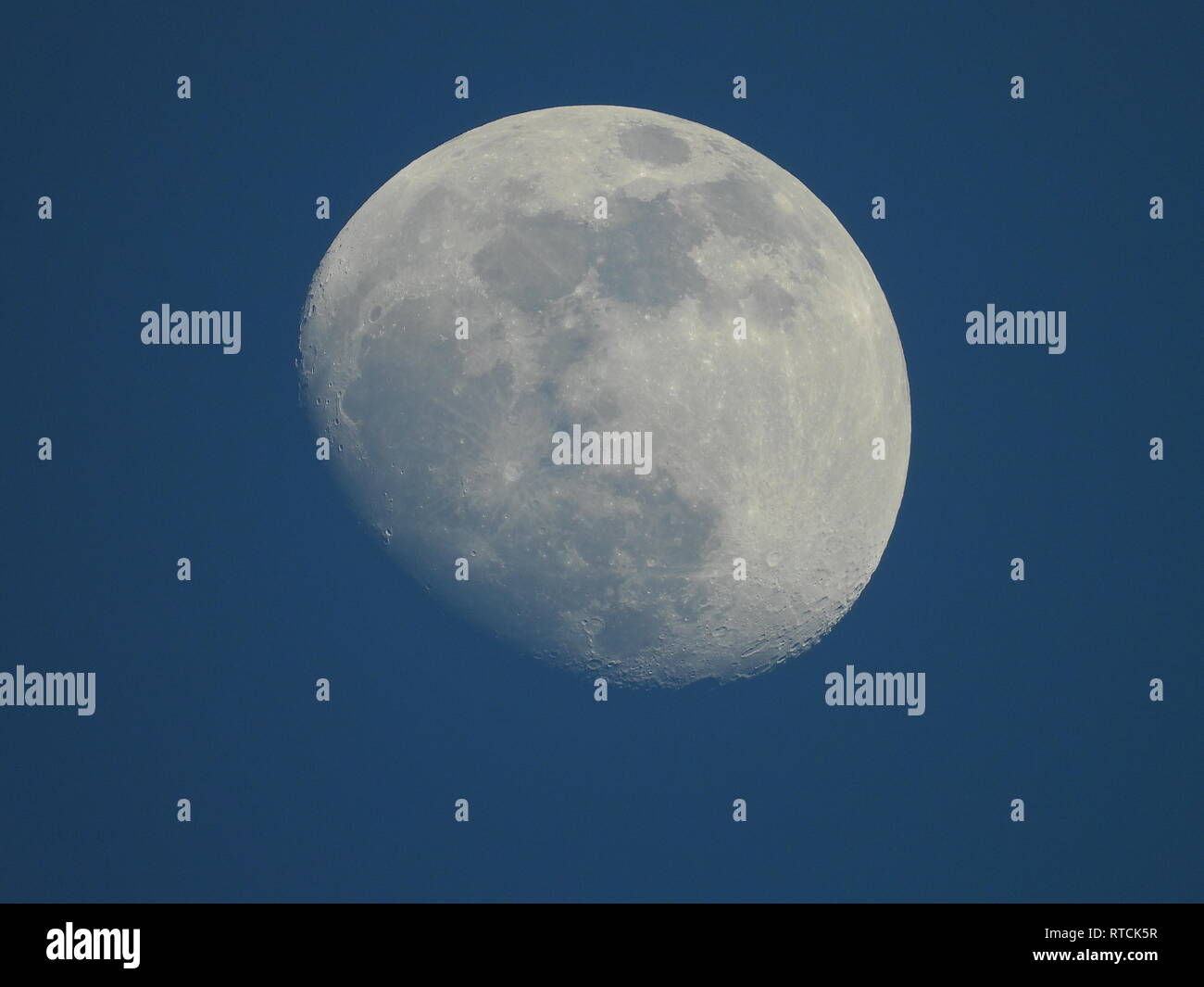 Hal moon hi-res stock photography and images - Alamy