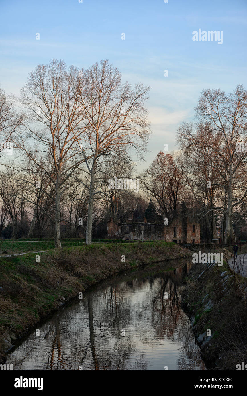 Plant lake and canal Stock Photo - Alamy