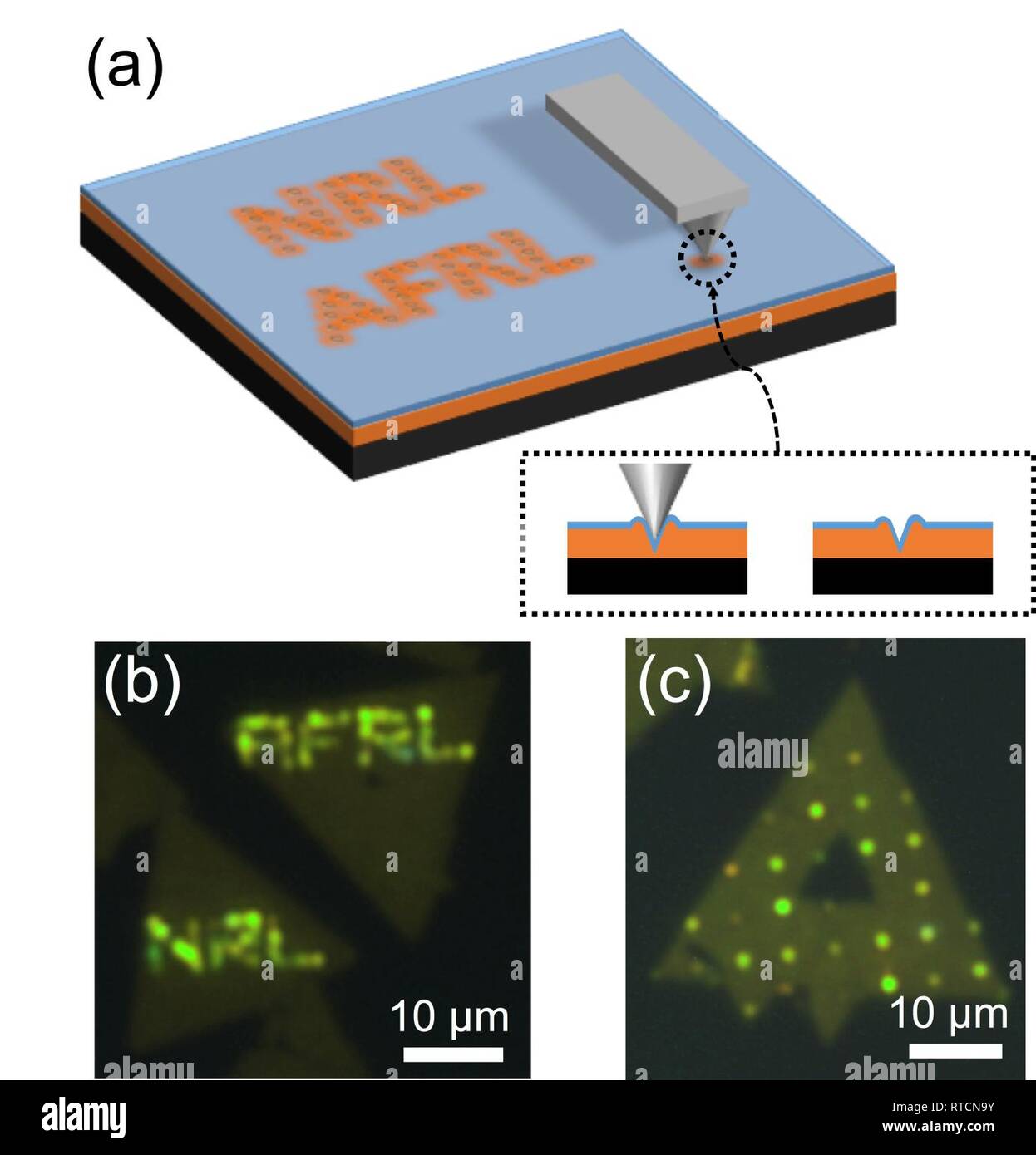 Afm microscopy hi-res stock photography and images - Alamy