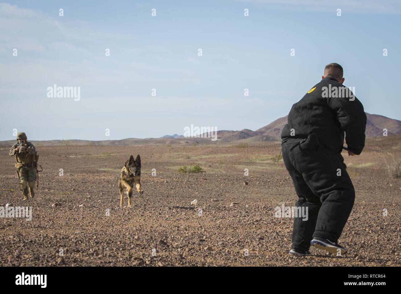 U.S. Marines currently assigned to the Military Working Dog (MWD) Team ...