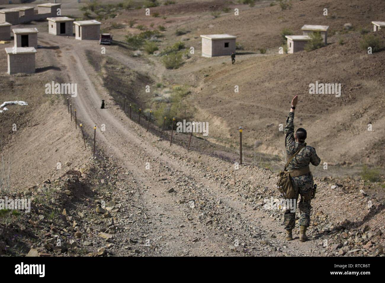 U.S. Marines currently assigned to the Military Working Dog (MWD) Team ...