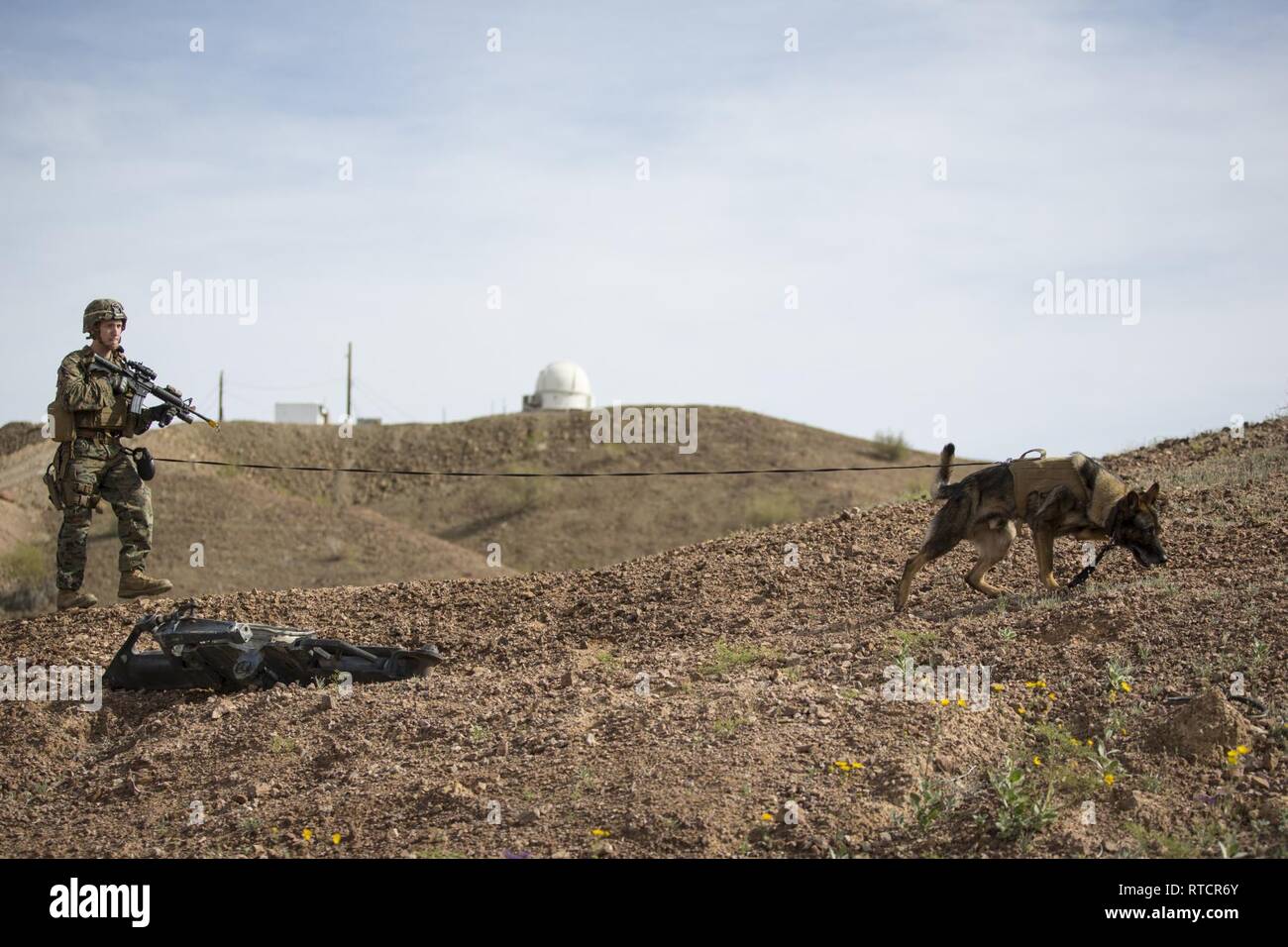U.S. Marines currently assigned to the Military Working Dog (MWD) Team ...