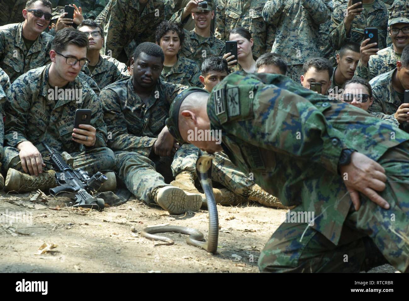 A Royal Thai Marine kisses the head of a monocled cobra during jungle ...