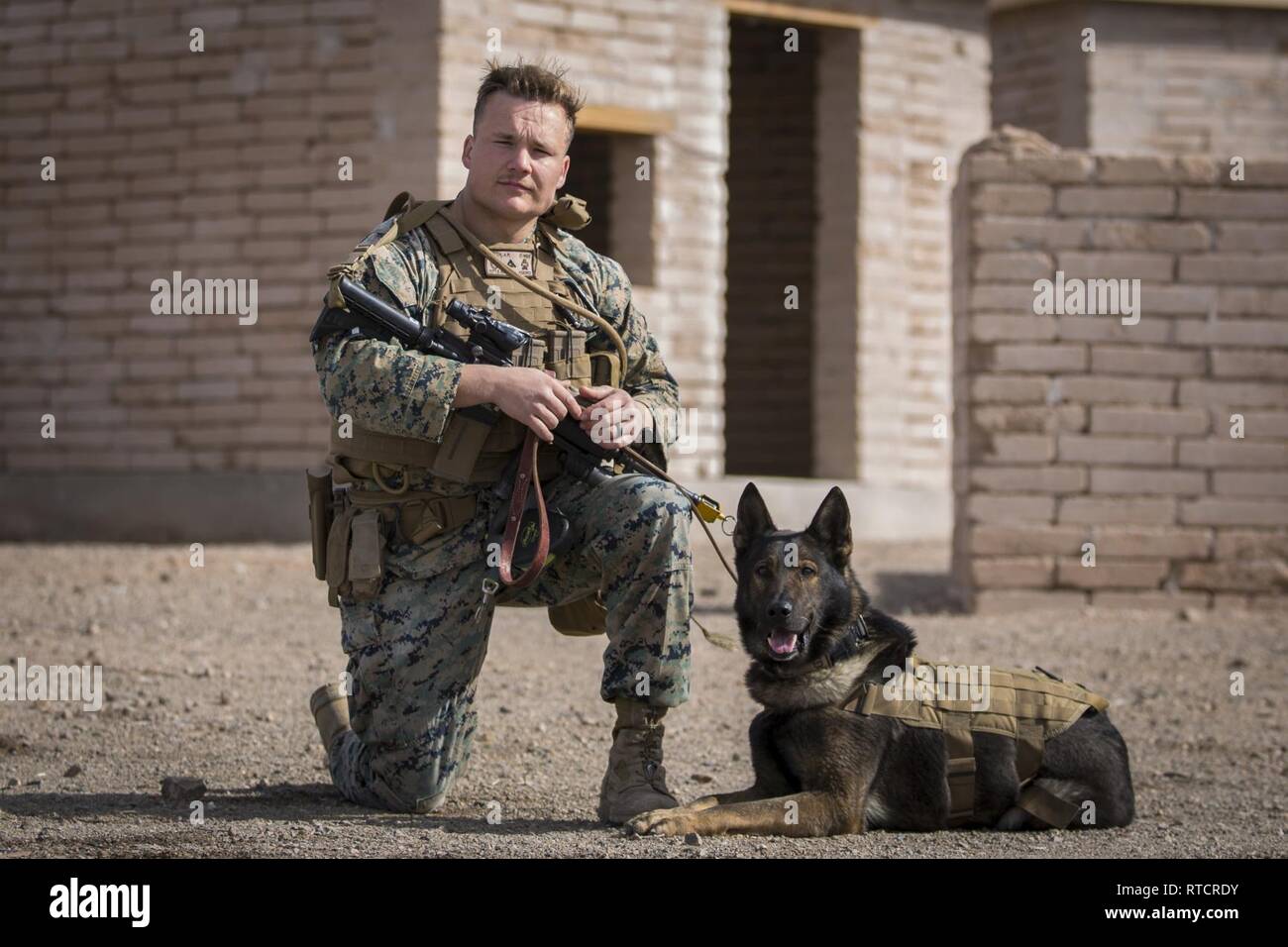 U.S. Marine Corps Lance Cpl. Austin Smith a K9 handler currently assigned to the Military ...