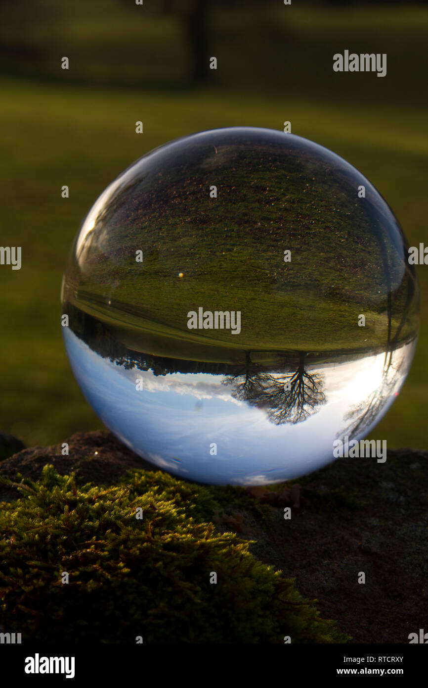 View through convex lens hi-res stock photography and images - Alamy