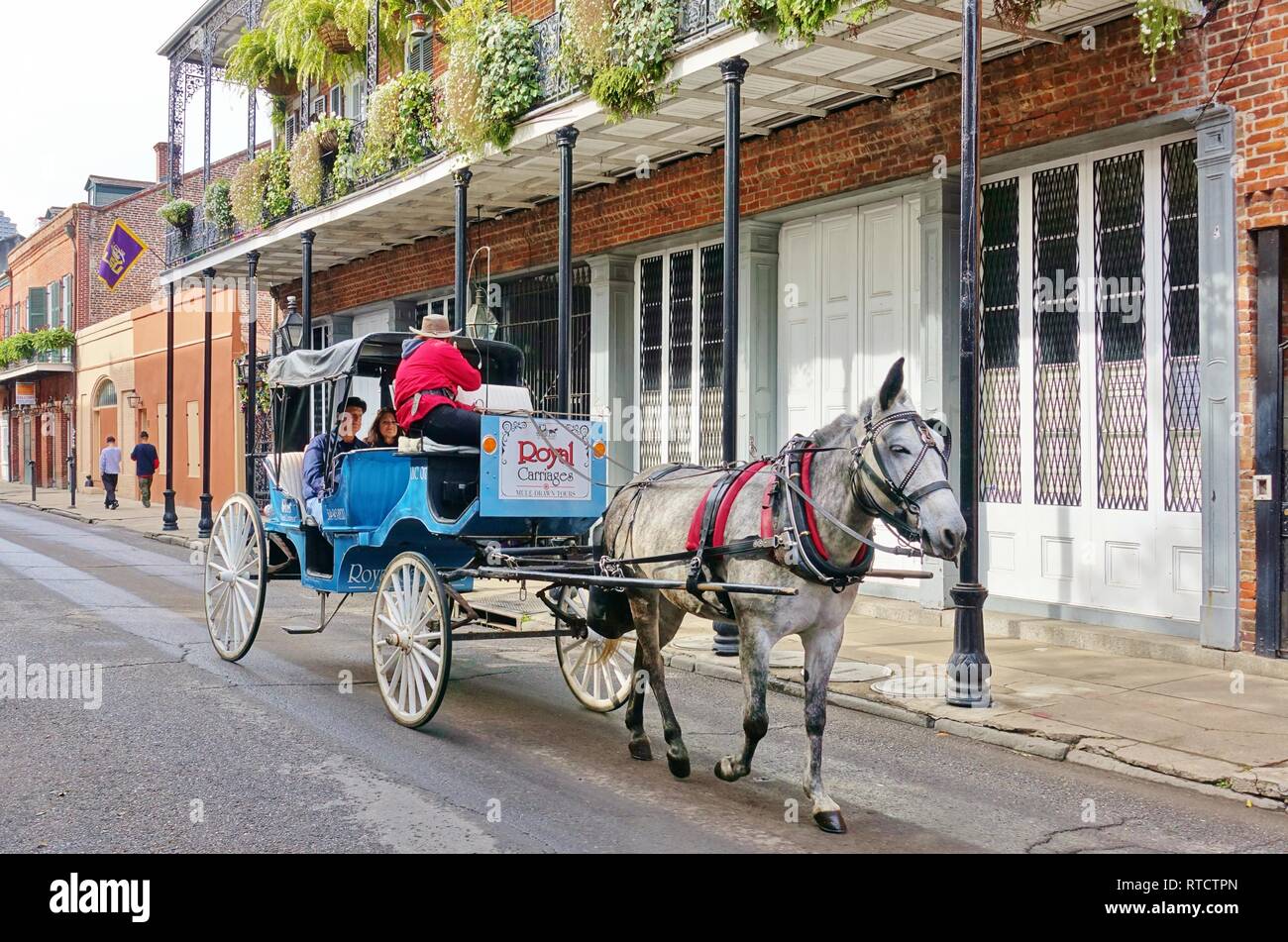 NEW ORLEANS, LA -26 JAN 2019- View of a traditional horse-drawn ...