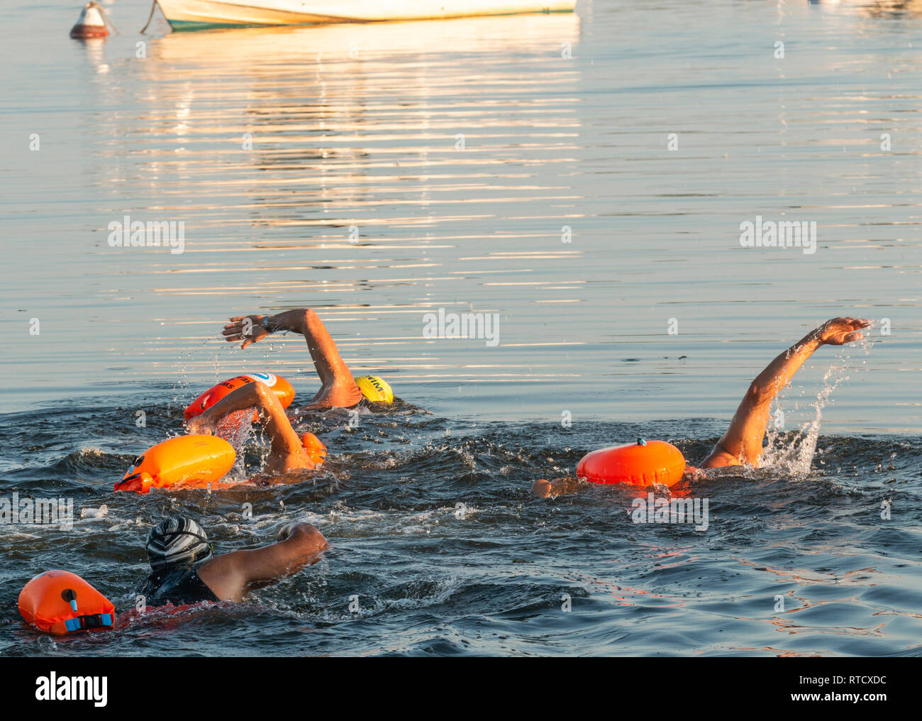 Oyster Bay, NY, USA - 5 August 2018: A group of swimmers at the ...