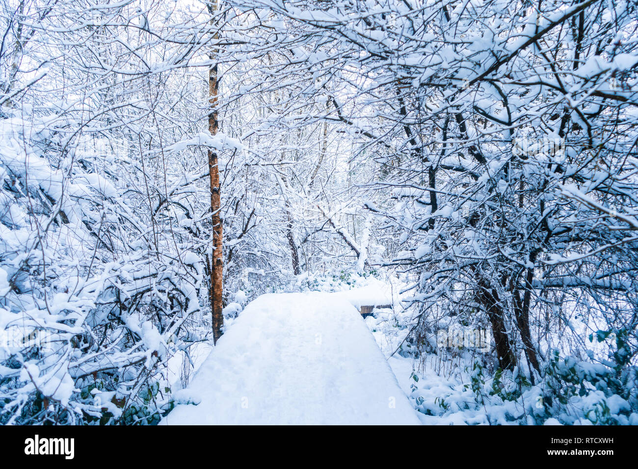 Delta nature trail hi-res stock photography and images - Alamy