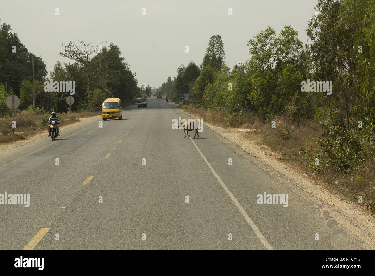Road Bavet - Phnom Penh in Cambodia Stock Photo - Alamy