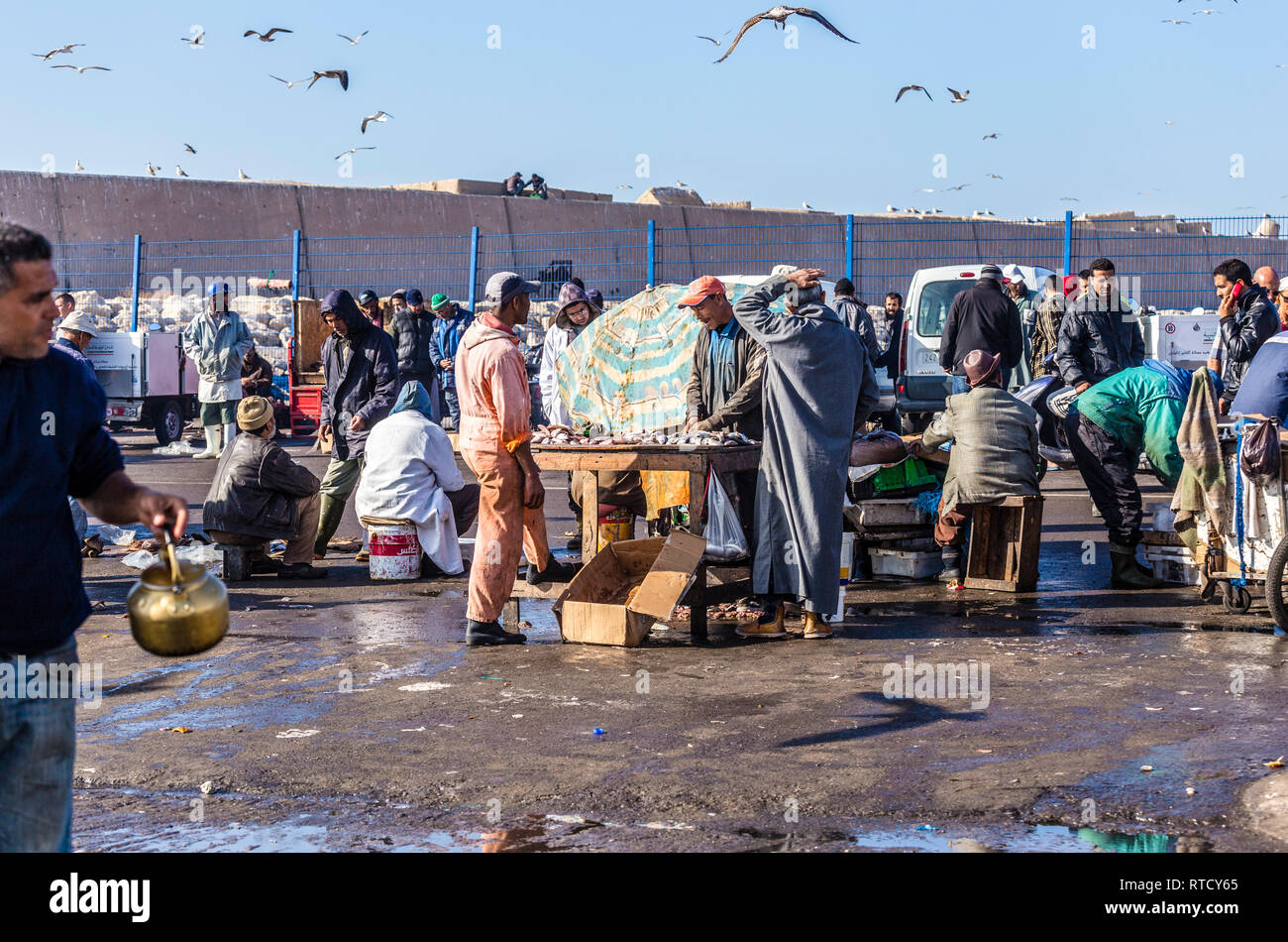 Fish guts hi-res stock photography and images - Alamy