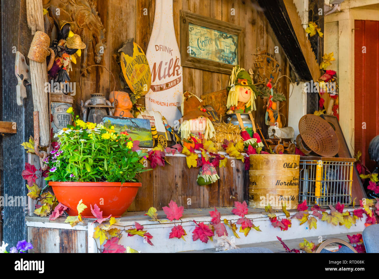 Harvest moon festival hi-res stock photography and images - Alamy