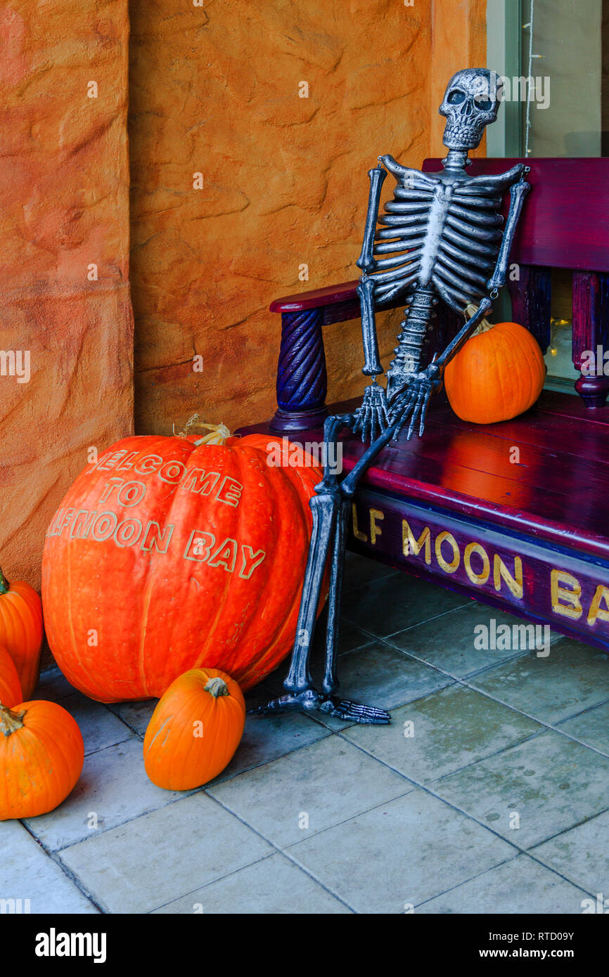 Skeleton on the bench Stock Photo - Alamy