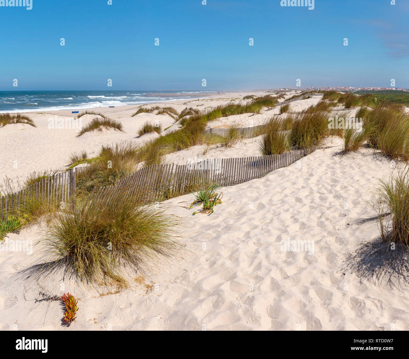 Praia da Costinha, atlantic coast, Costa Nova, Aveiro, Portugal Stock ...