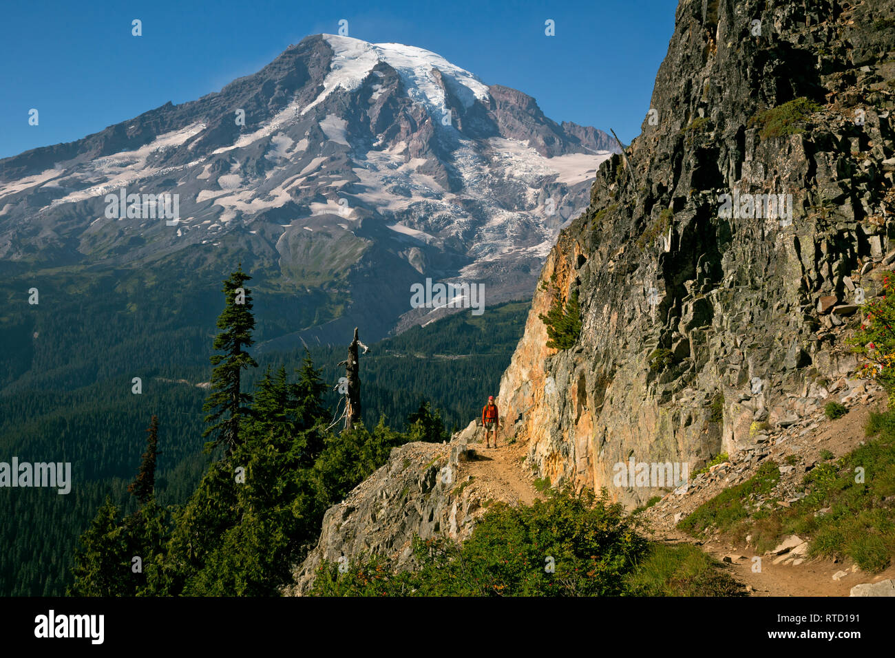 WA15830-00...WASHINGTON - Hiker approaching Pinnacle Saddle on the ...