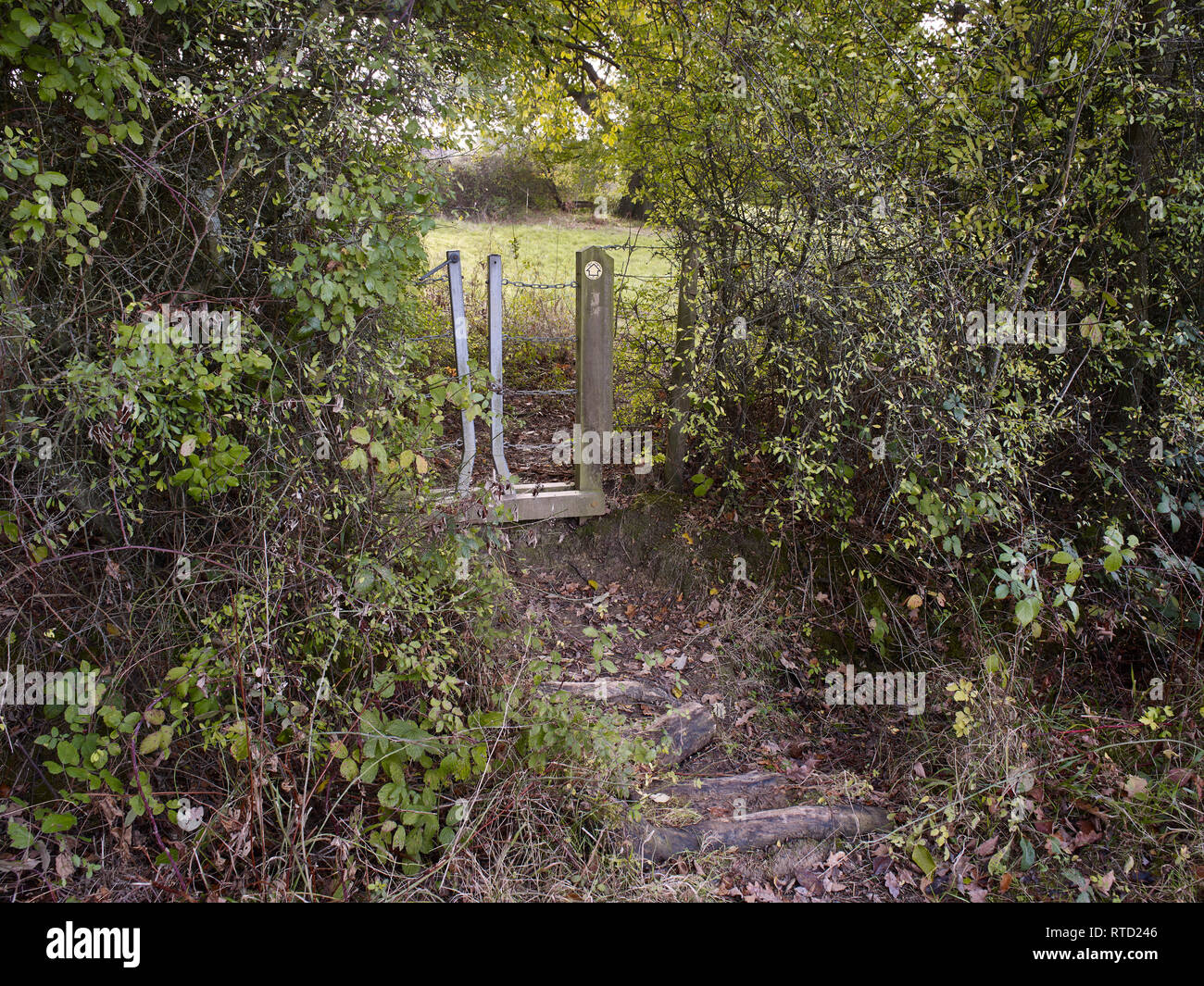 Path and right of way metal stile on a Kent countryside walking ...