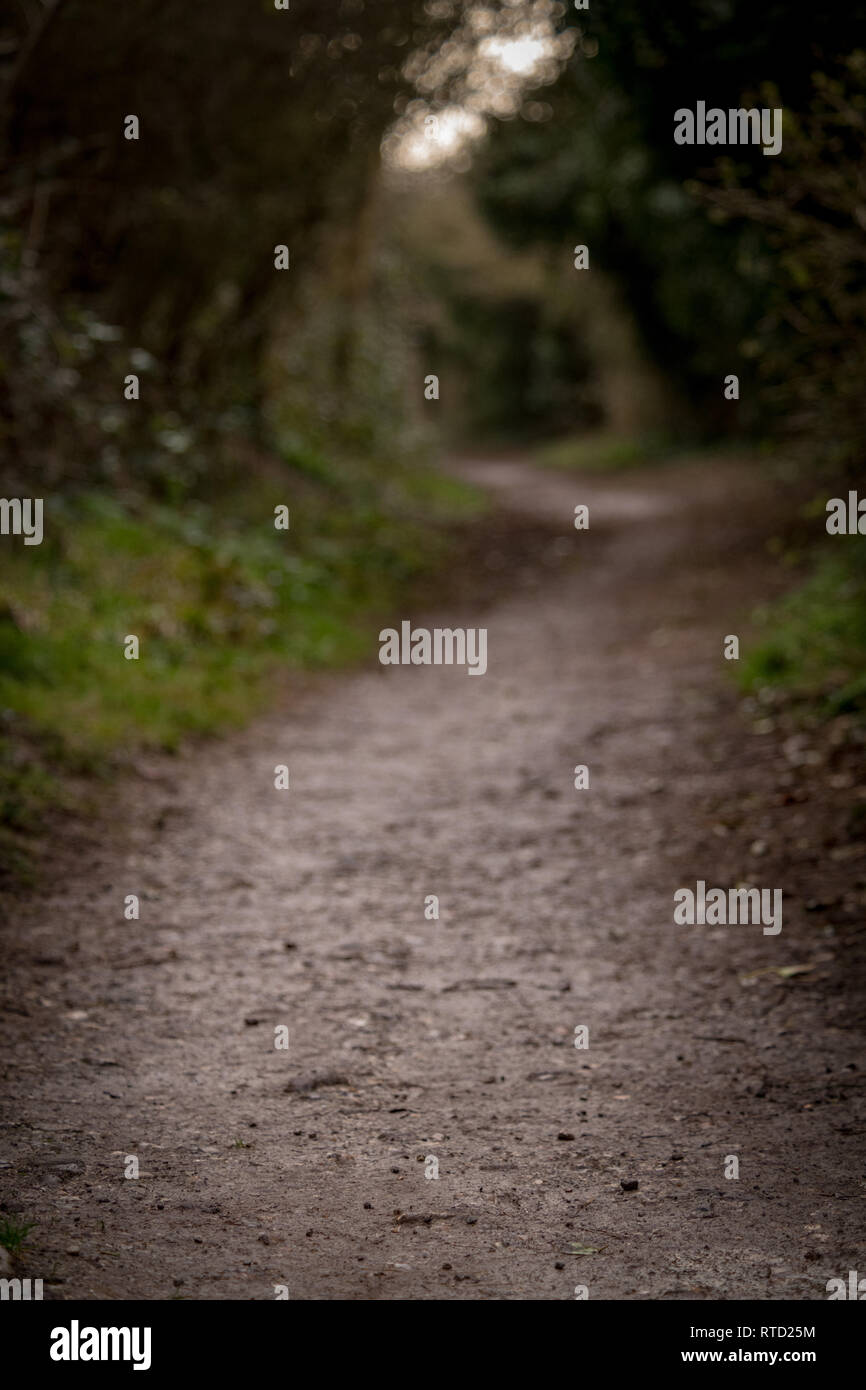 narrow country foot path sweeping trees Stock Photo - Alamy