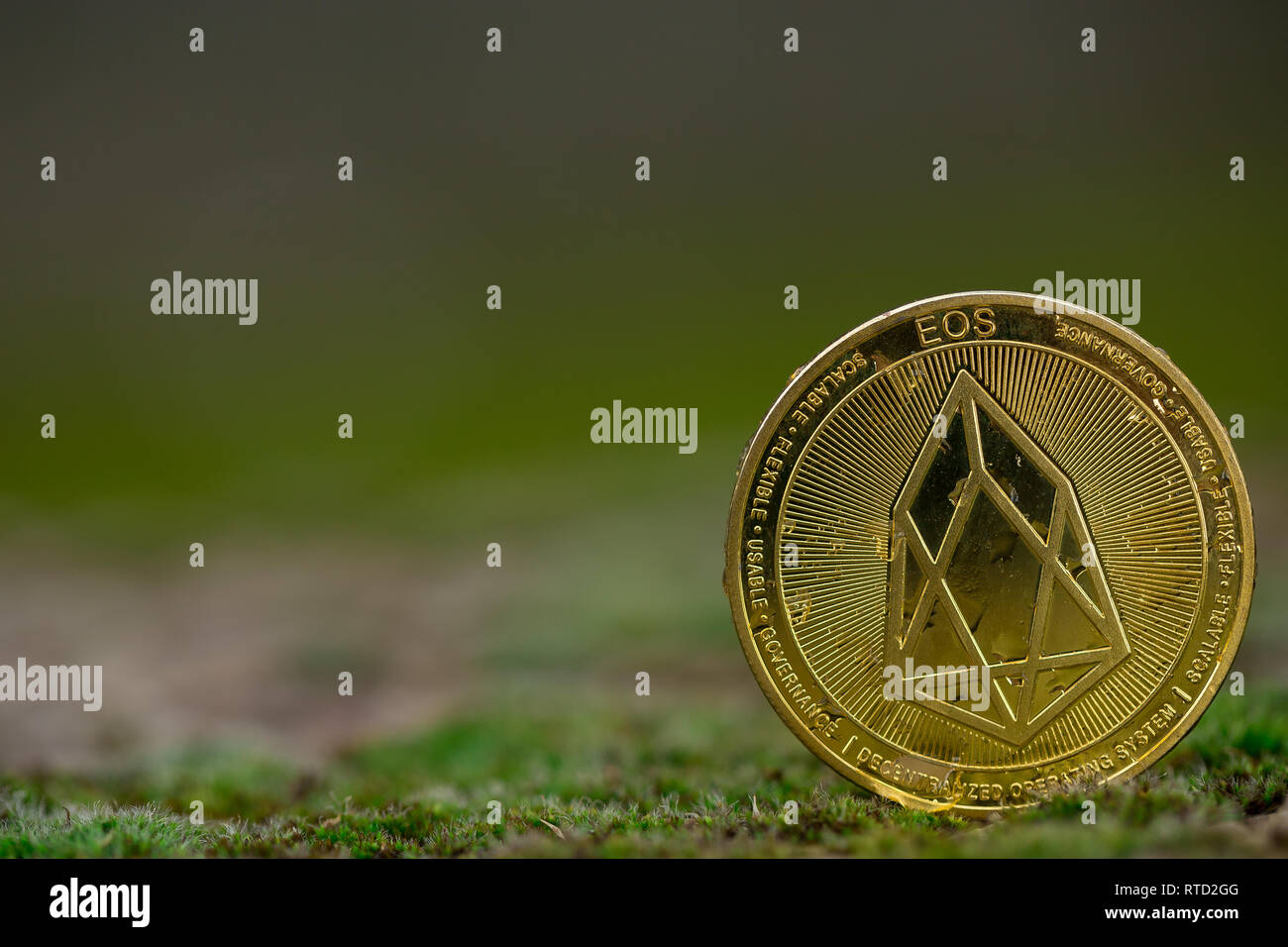 Eos cryptocurrency physical coin placed on the moss in the right side ...