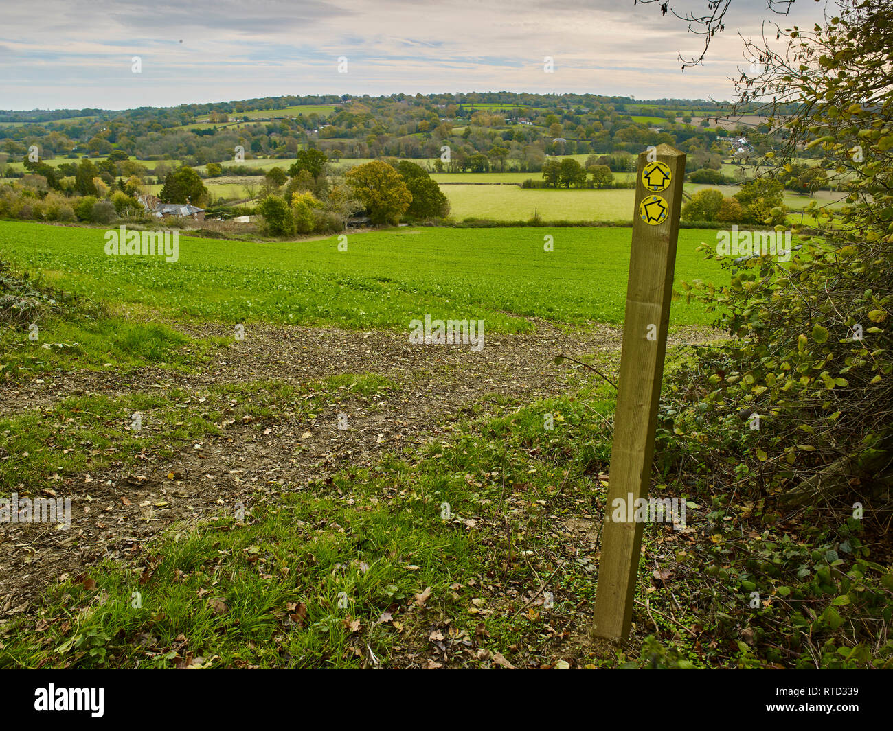 Drag walkers hi-res stock photography and images - Alamy