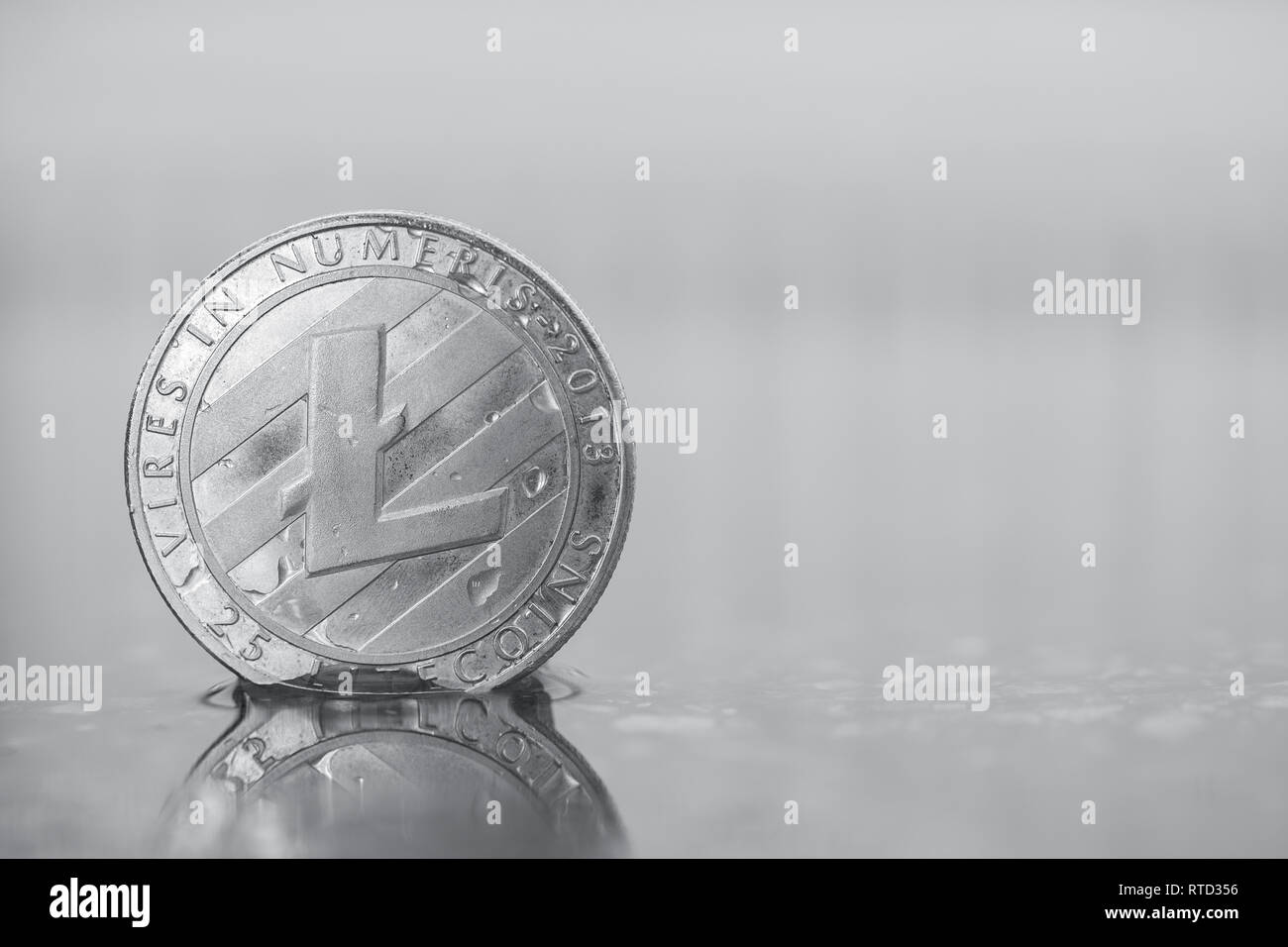 Litecoin LTC cryptocurrency physical coin placed in the swamp of water ...