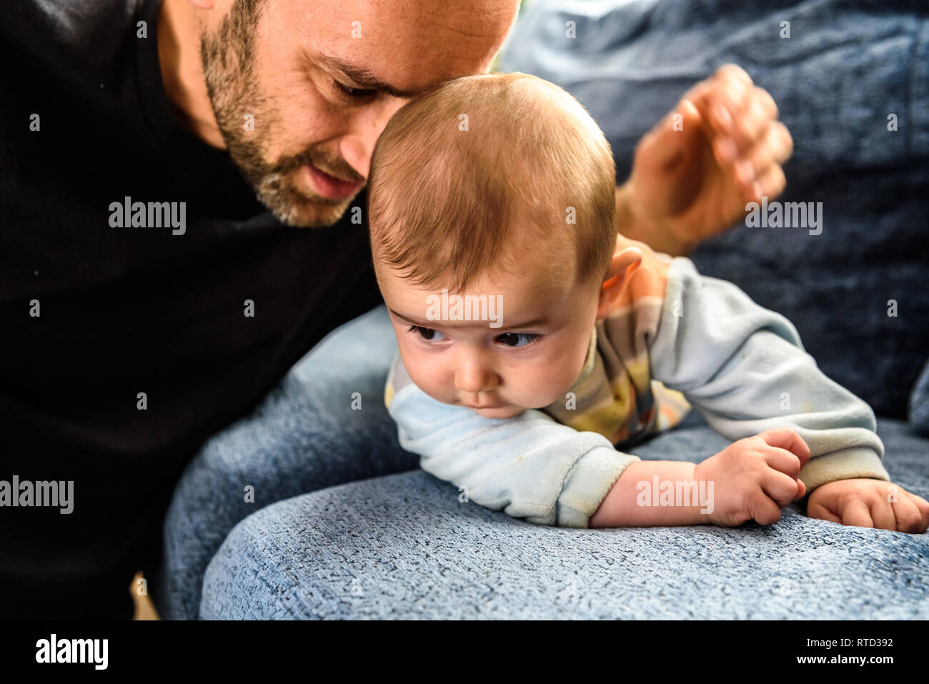 Baby face down on a couch exploring his world held by his father Stock ...