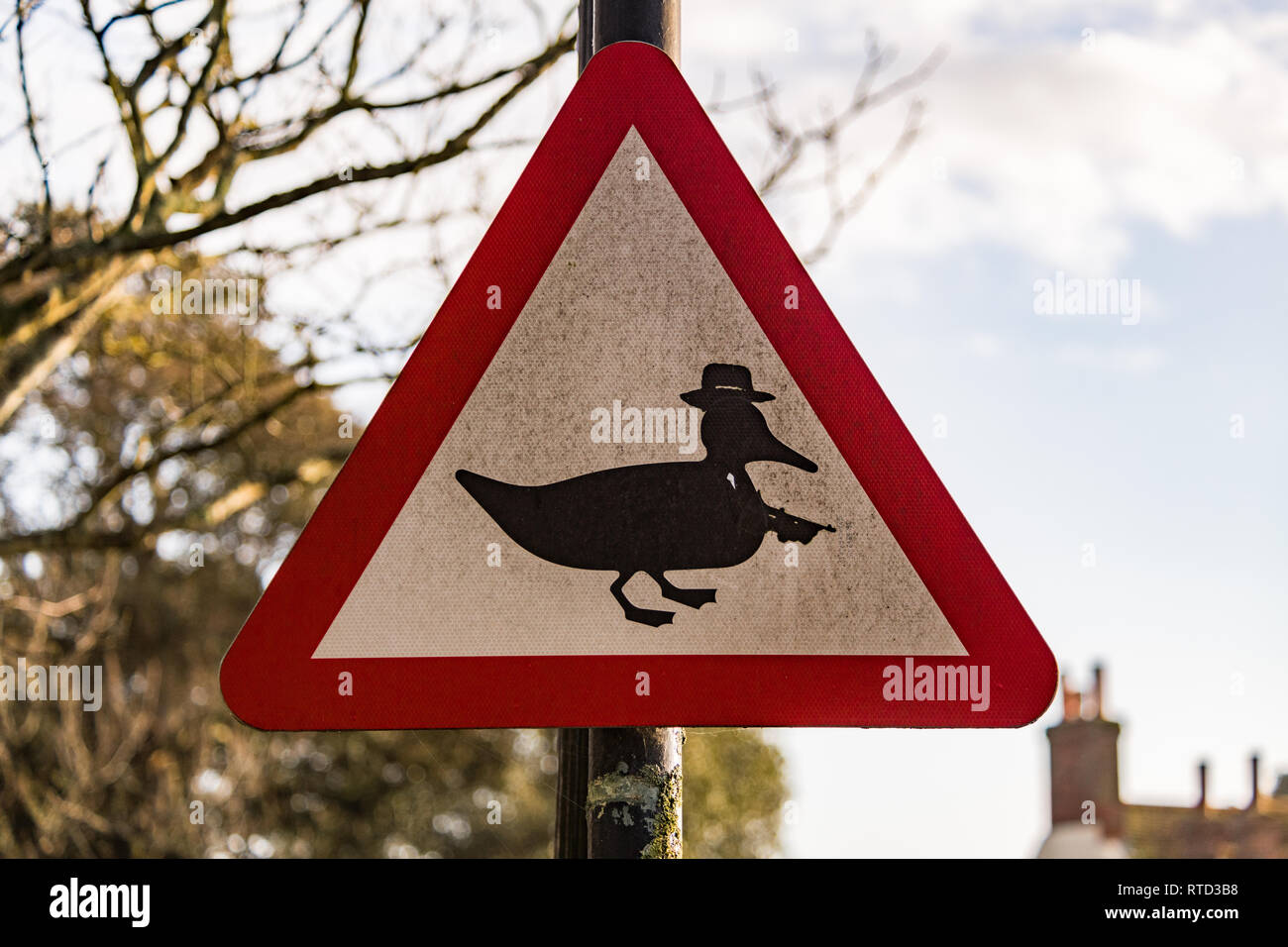 Duck with hat and machine gun hi-res stock photography and images - Alamy