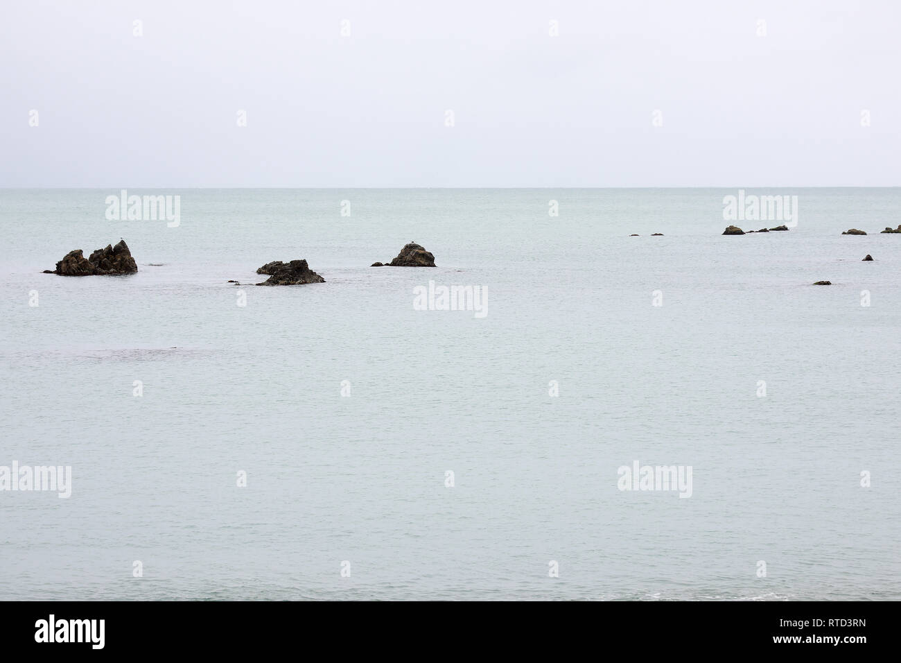 Flat seascape with gulls hi-res stock photography and images - Alamy