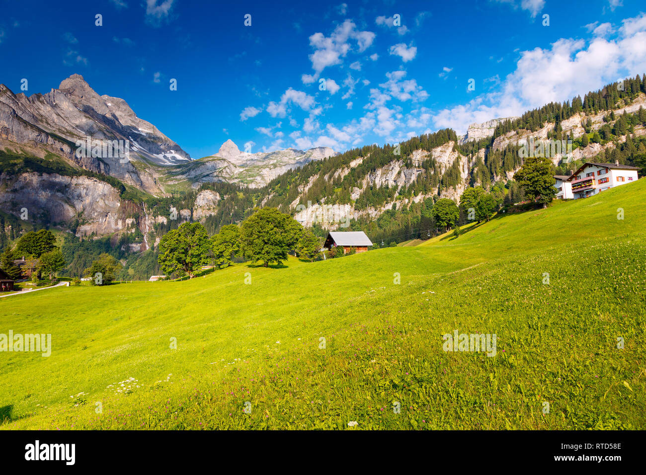 Typical swiss alpine landscape, green meadow, mountains and blue sky ...
