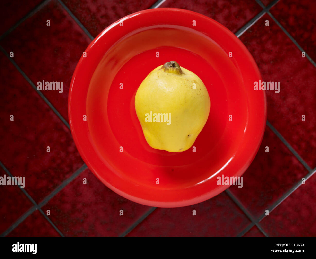 Single yellow Quince fruit against red background, food still-life ...
