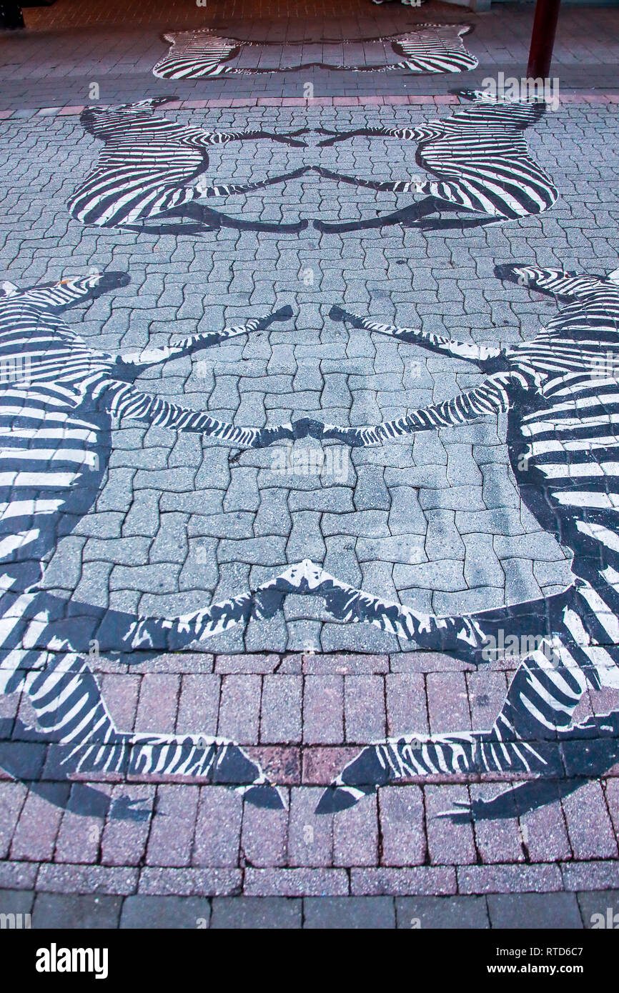 Zebra street art painted on the floor of Queenstown Mall, Queenstown ...