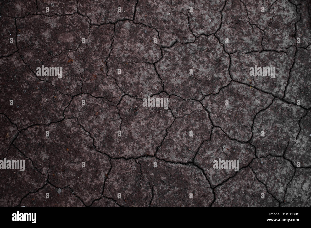 Dry land or dry soil. Cracked ground background. agriculture concept ...