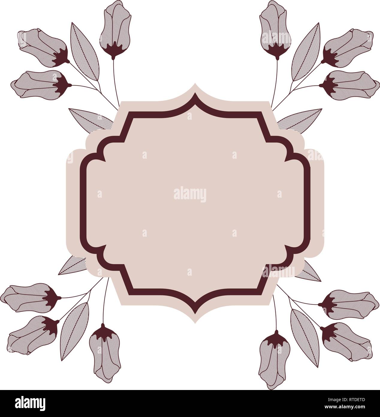 Frame wild herbs forest Cut Out Stock Images & Pictures - Alamy