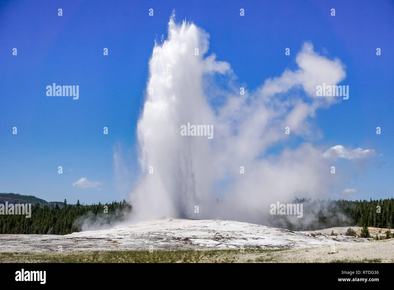 The Old Faithful geyser erupting, Yellowstone National Park Stock Photo ...