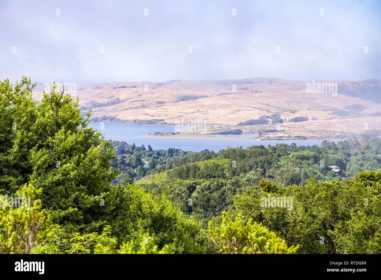 View of the Point Reyes National Seashore estuaries through fog from ...