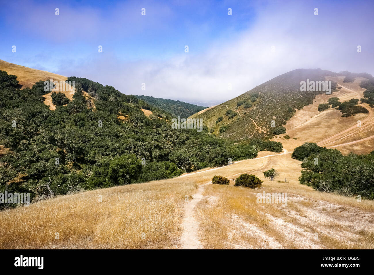 Retreating fog on the trails of Toro Park, California Stock Photo - Alamy