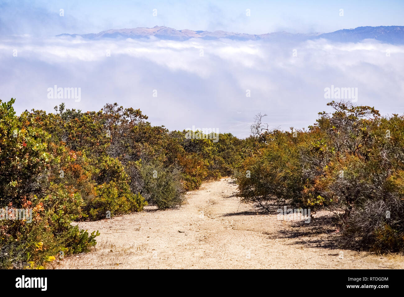 Trail to Simas Peak in Toro Park, California Stock Photo - Alamy