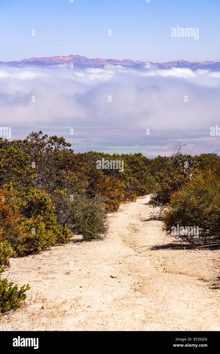 Trail to Simas Peak in Toro Park, California Stock Photo - Alamy