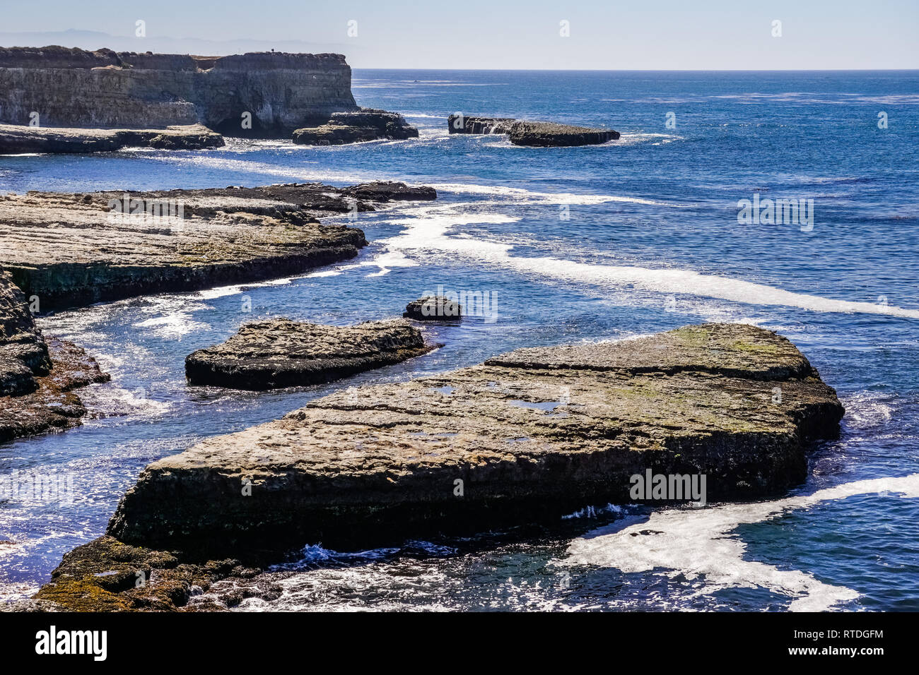Pacific Ocean Coast (Harbor seals resting on rocks), Wilder Ranch State ...