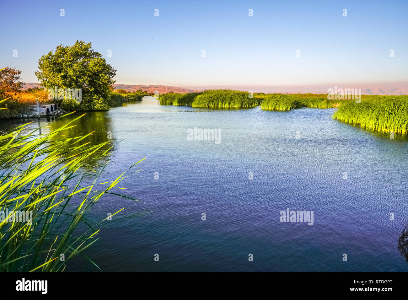 Ponds at sunset in Coyote Hills Regional Park, Bay Area, California ...