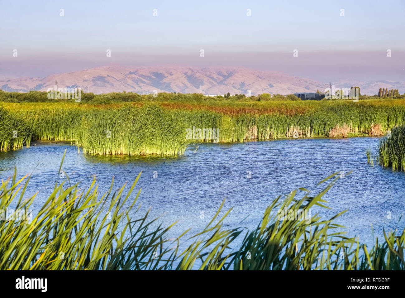 Ponds in the Bay Area marshes on a background of hills covered by ...
