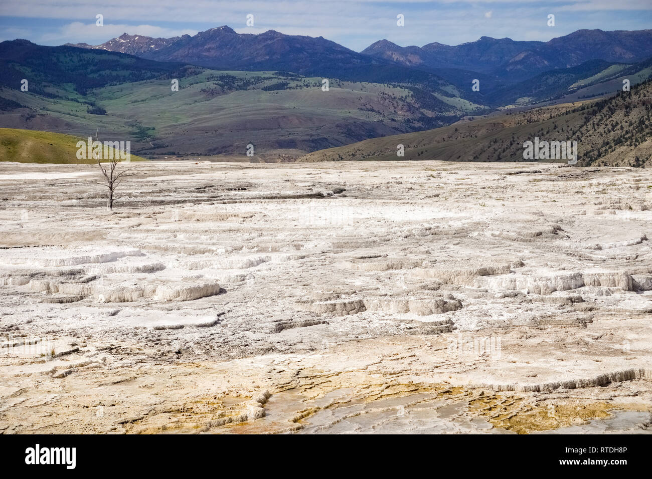 Travertine terraces at Mammoth Hot Springs, Yellowstone Stock Photo - Alamy