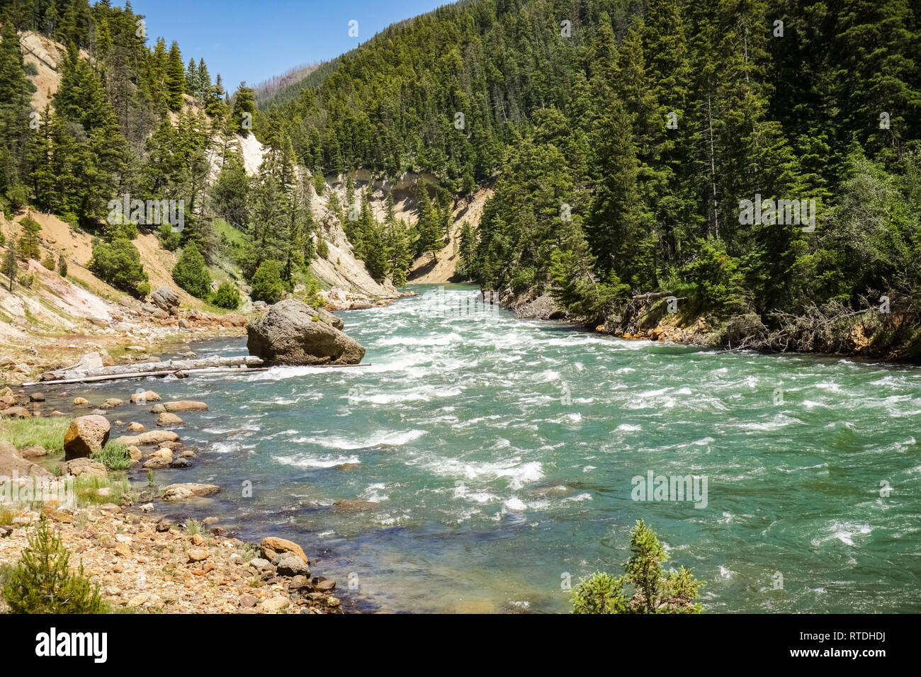 Yellowstone river, close-up Stock Photo - Alamy
