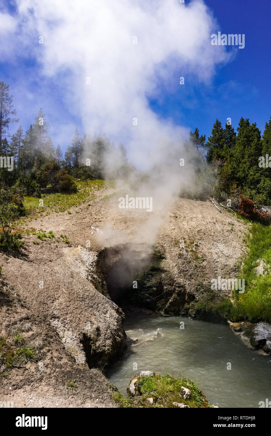 Dragons Mouth Spring, Mud Volcano, Yellowstone Stock Photo - Alamy