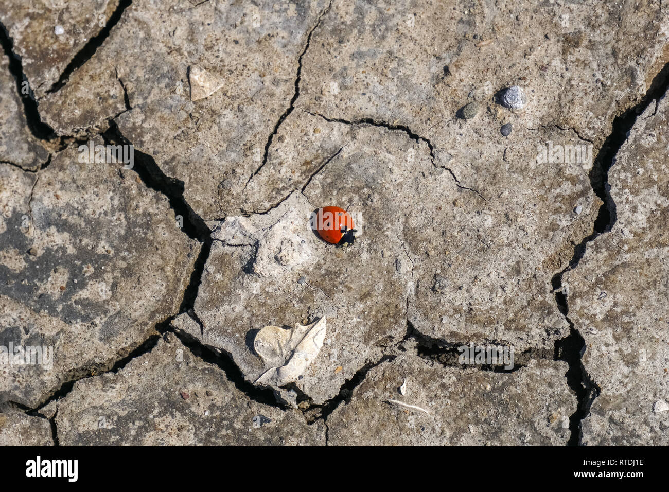 Cracked earth on black hi-res stock photography and images - Alamy