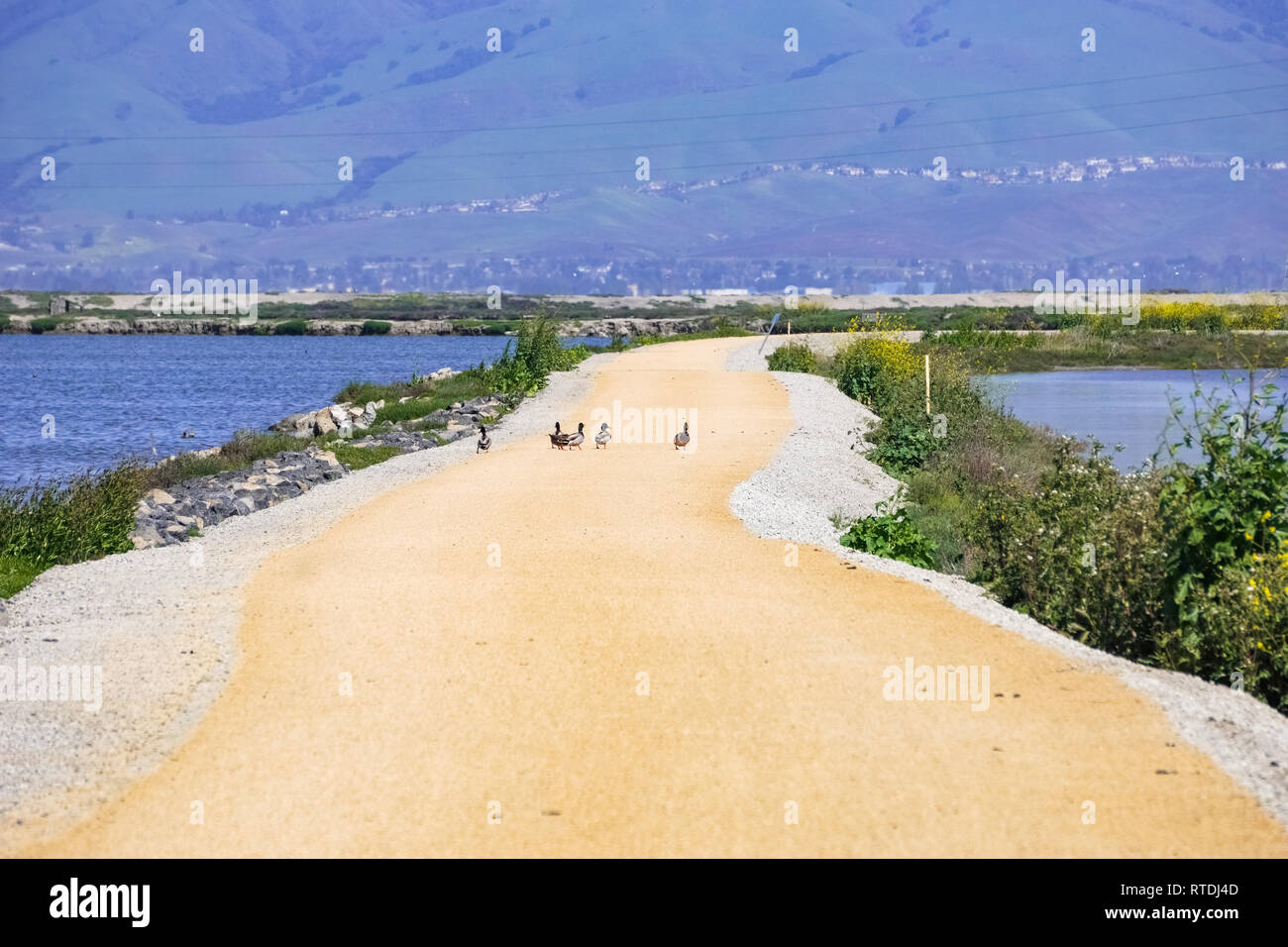 The bay trail, Sunnyvale, California Stock Photo - Alamy