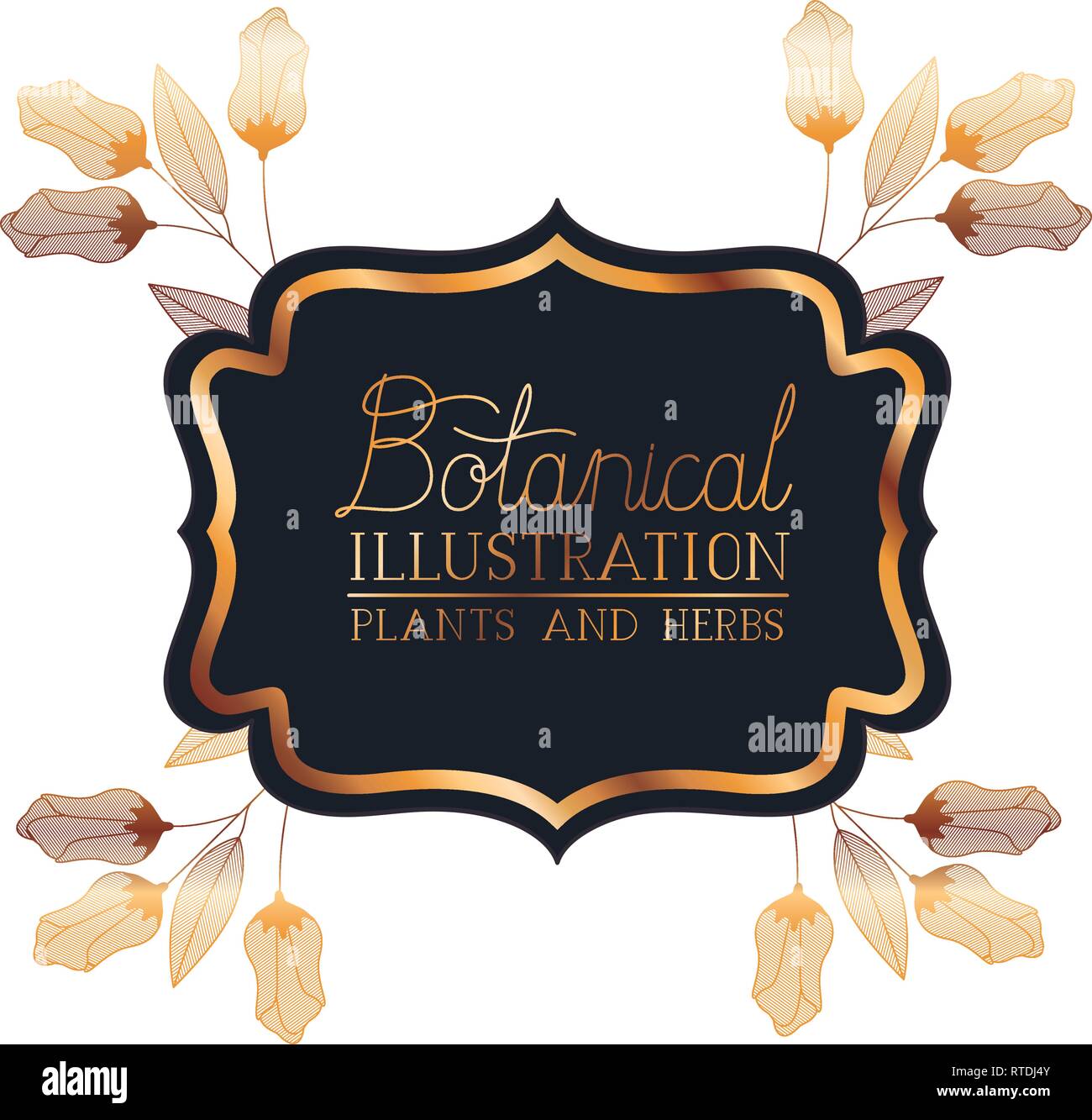 botanical illustration label with plants and herbs vector illustration ...